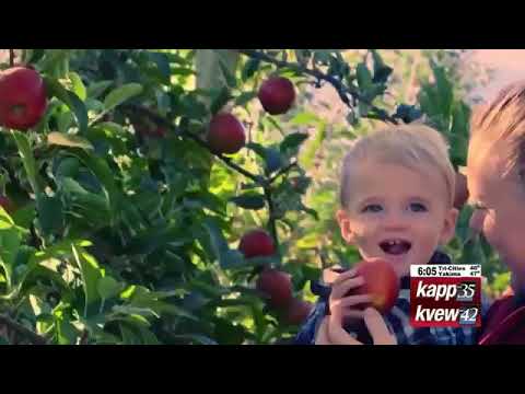 Washington Apple License Plate Measure for Scholarships - YouTube