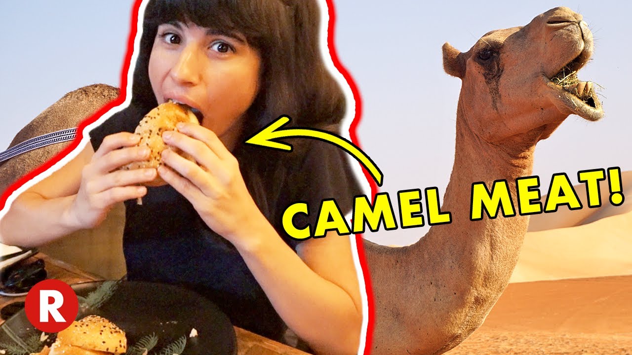 I ate a CAMEL burger in Abu Dhabi - YouTube