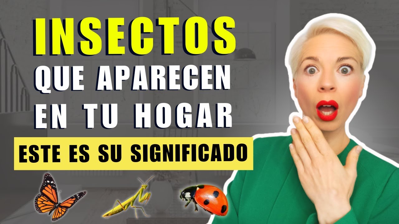 Sabías Que Los Insectos Que Aparecen En Tu Hogar Tienen Significado 🐞🦋 ...