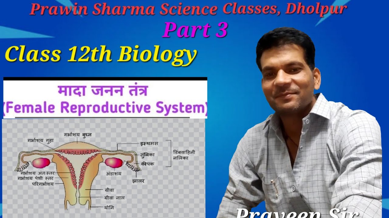 Class 12th Biology (Female Reproductive System) Manav Janan part 3 ...