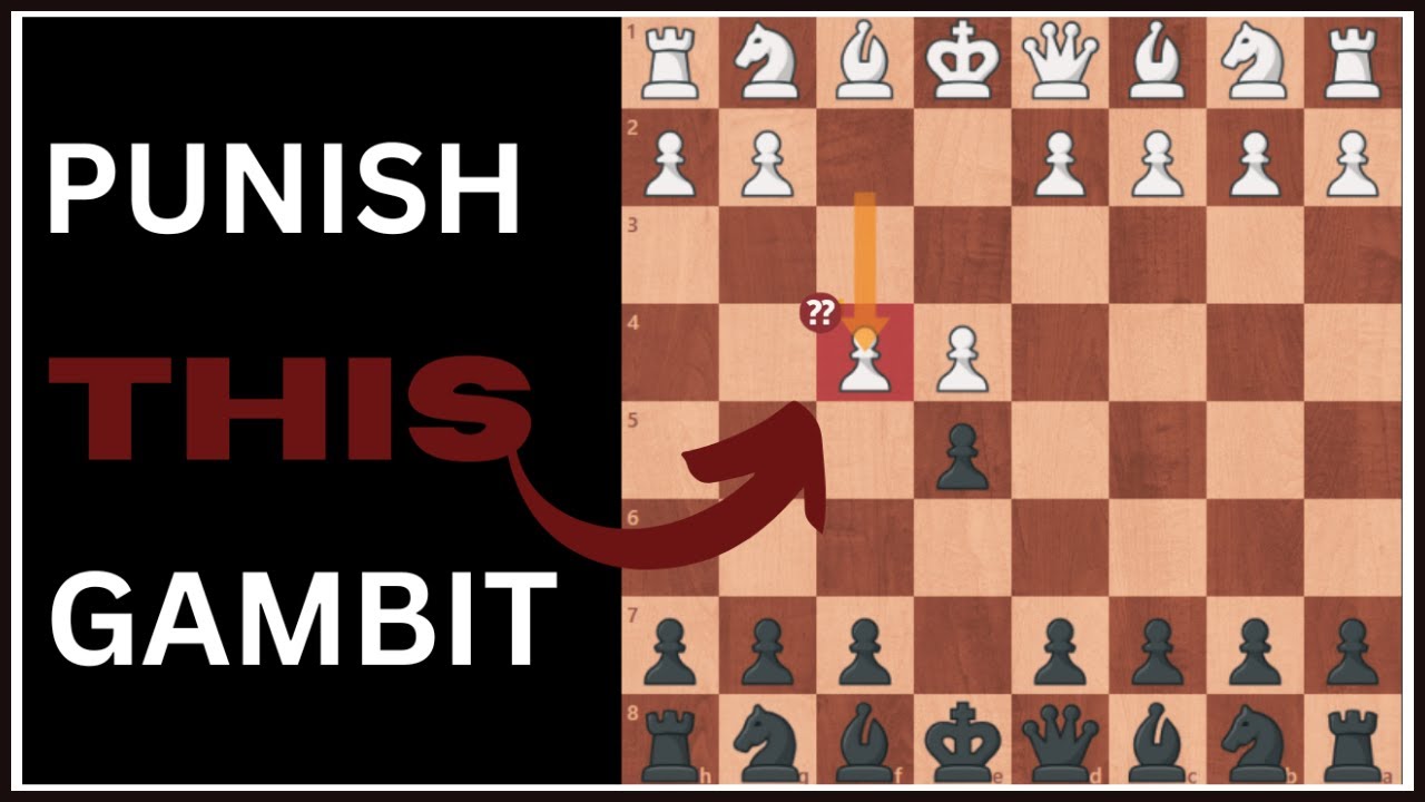 How to Punish the King's Gambit (Falkbeer Counter Gambit) - YouTube