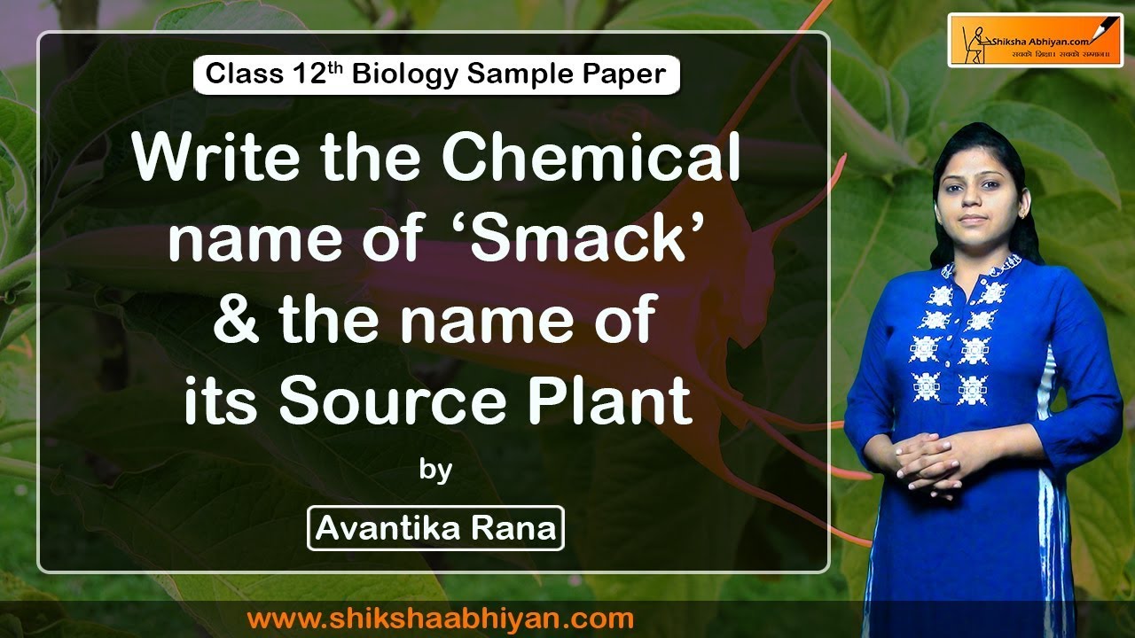 Q33 Write the chemical name of ‘smack’ and the name of its source plant ...