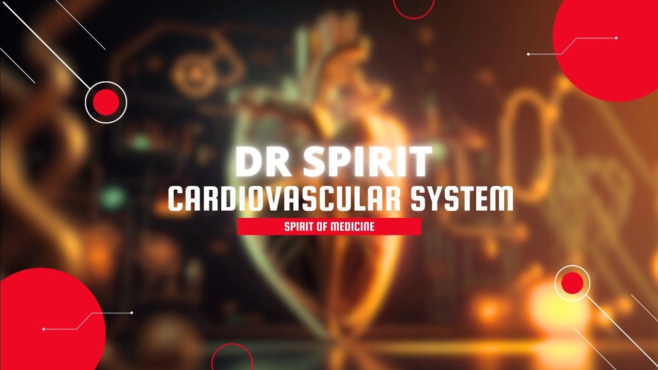 Anatomy of the heart - Internal features - YouTube