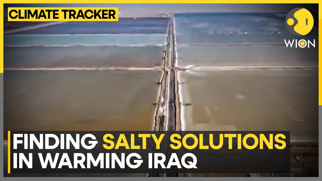 Iraq: Salt Factory Turns Heat Into Opportunity | WION Climate Tracker ...