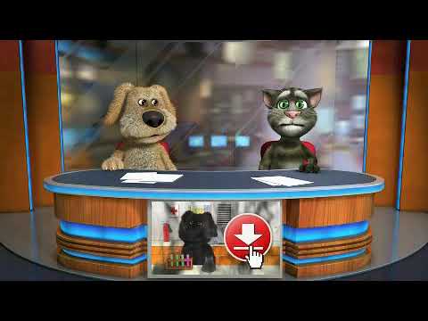Tom Sen Gülme! / TBN Haber