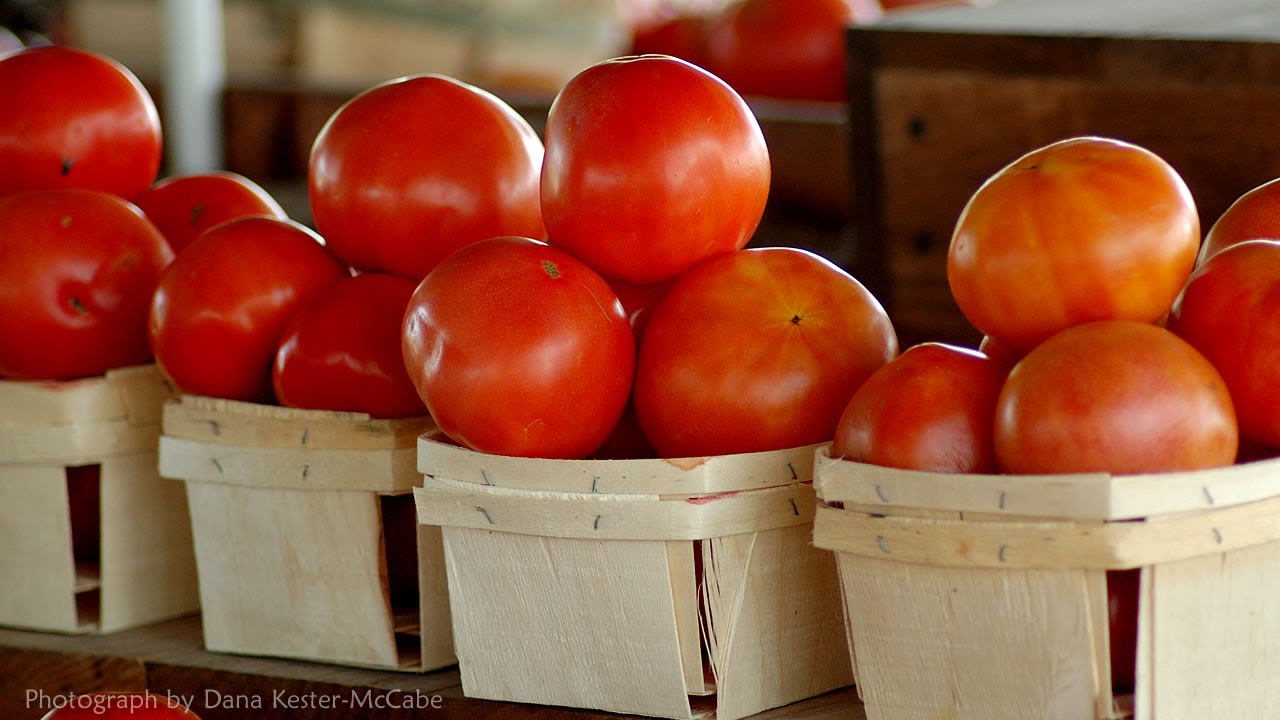 The Mighty Tomato - YouTube