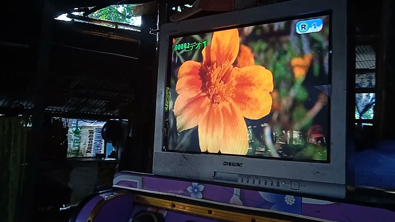 Videoke Score 91 - YouTube