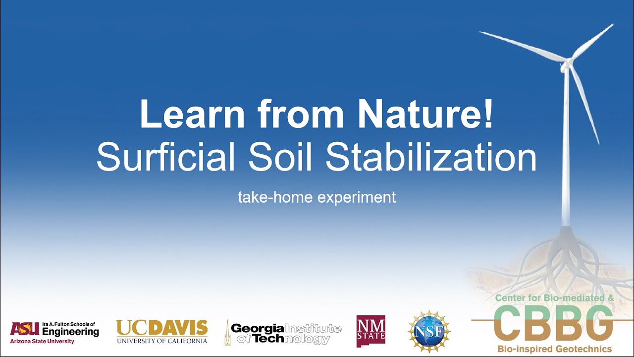 Learn from Nature! Surficial Soil Stabilization - YouTube
