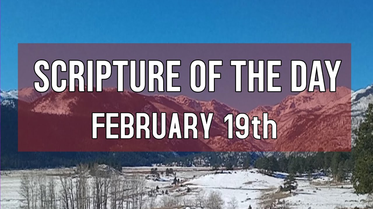 February 19th Scripture of the day Psalm 33:21 - YouTube