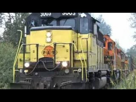 HD PW 3003 Freight Train (close call for kitty at Fox crossing - YouTube