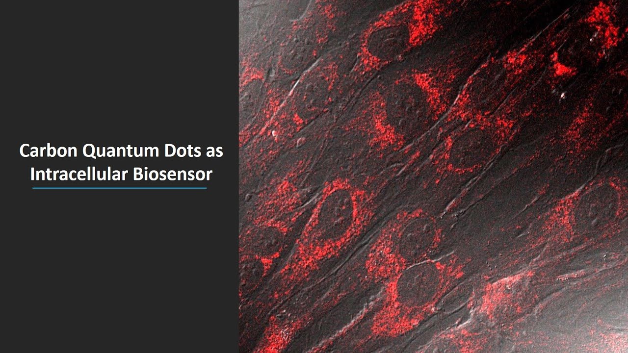 Carbon Quantum Dots: Hydrothermal Synthesis and characterization (Part ...