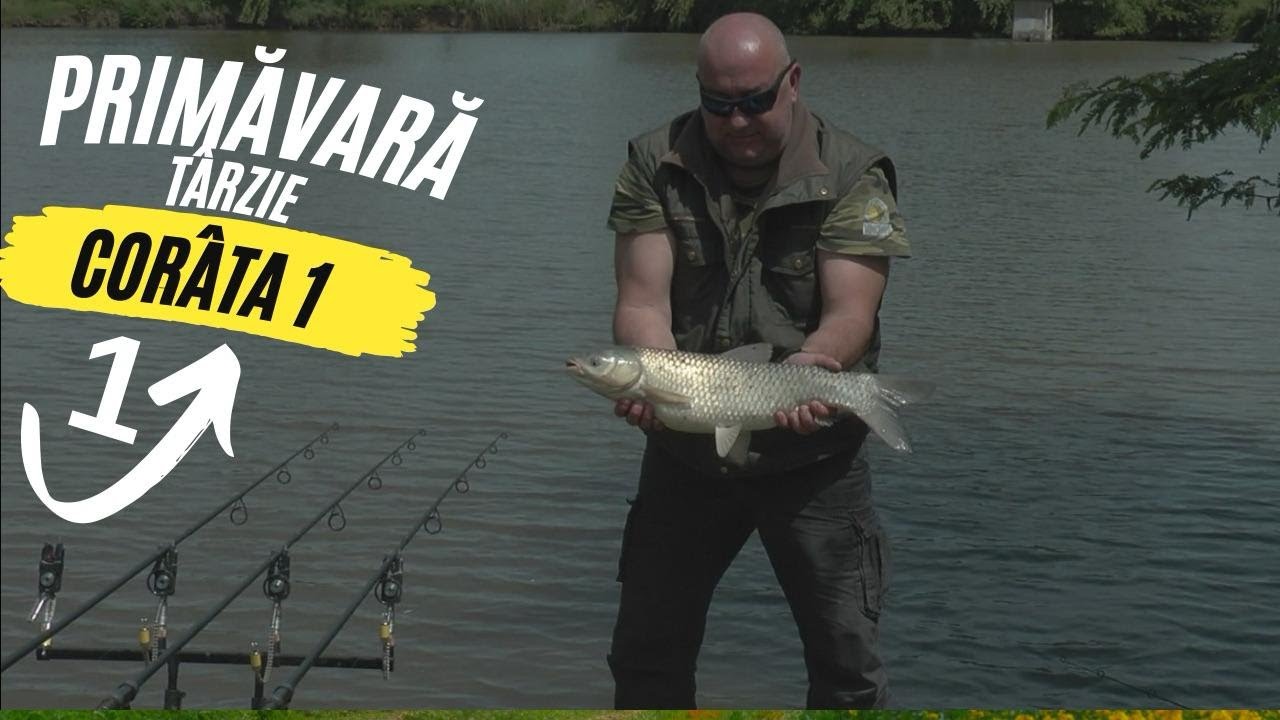 Primăvară târzie la Corâta 1 (episodul 1) - YouTube