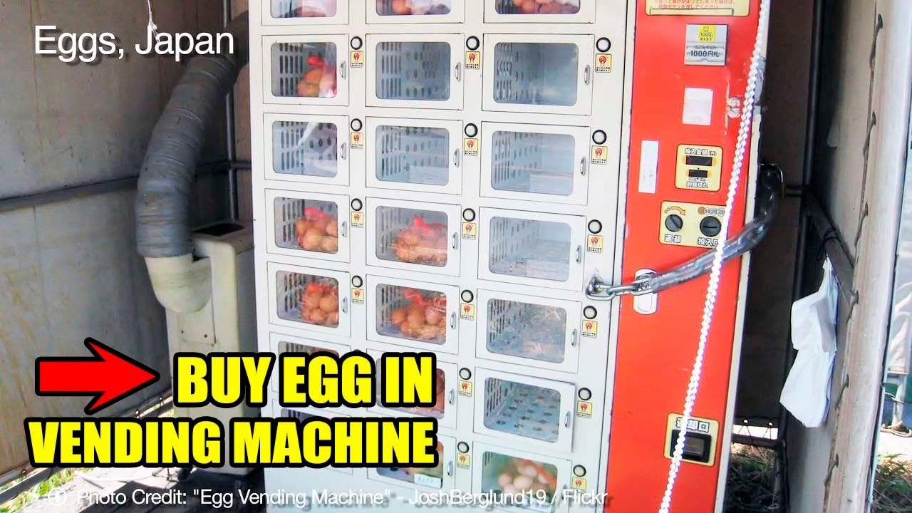 TOP 10 Strangest Vending Machines - YouTube
