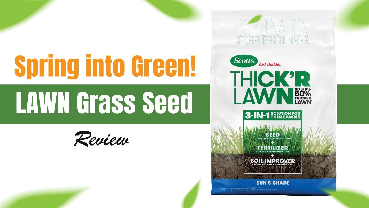 Spring into Green: Scotts LAWN Grass Seed | Review - YouTube