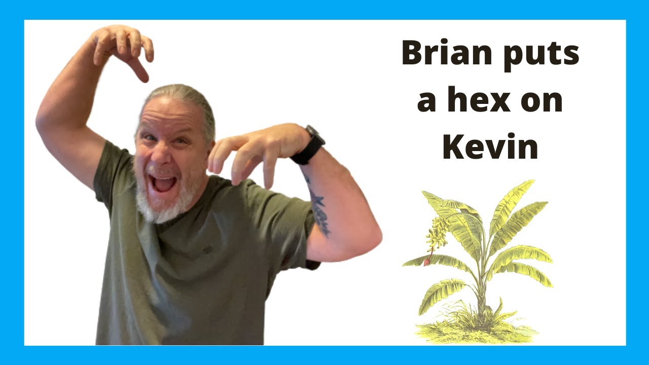 Episode 57 - Don't pester Brian the Brooder | Sketch Comedy | Funny ...