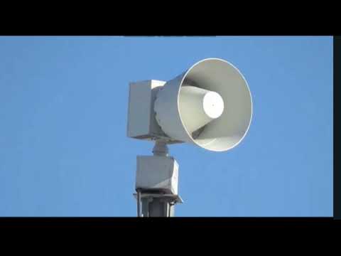 The Random siren shorts 3