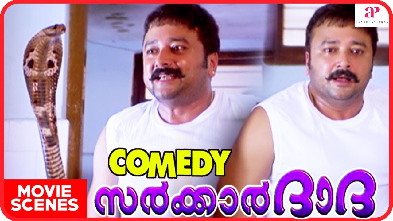 Sarkar Dada Malayalam Movie | Scenes | Full Movie Comedy | Salim Kumar ...