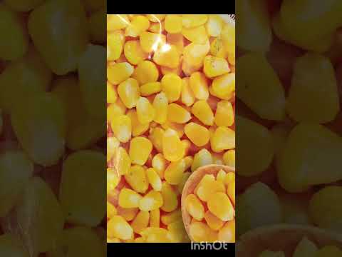 Kohre ka keher🥶⛄☃️