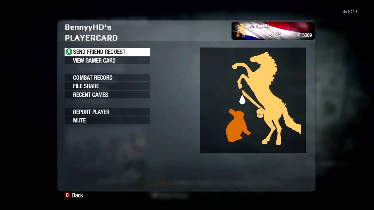 Black Ops Funniest Emblem ever? - YouTube