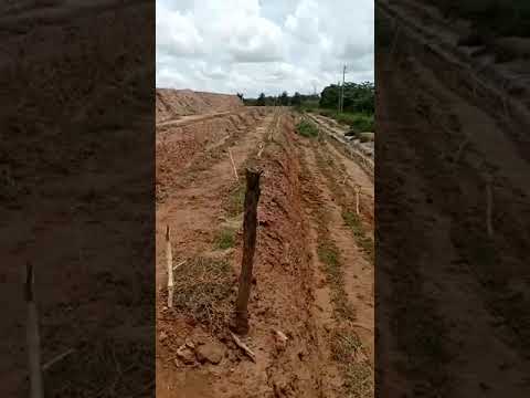 MINING VIDEOS 1 - YouTube