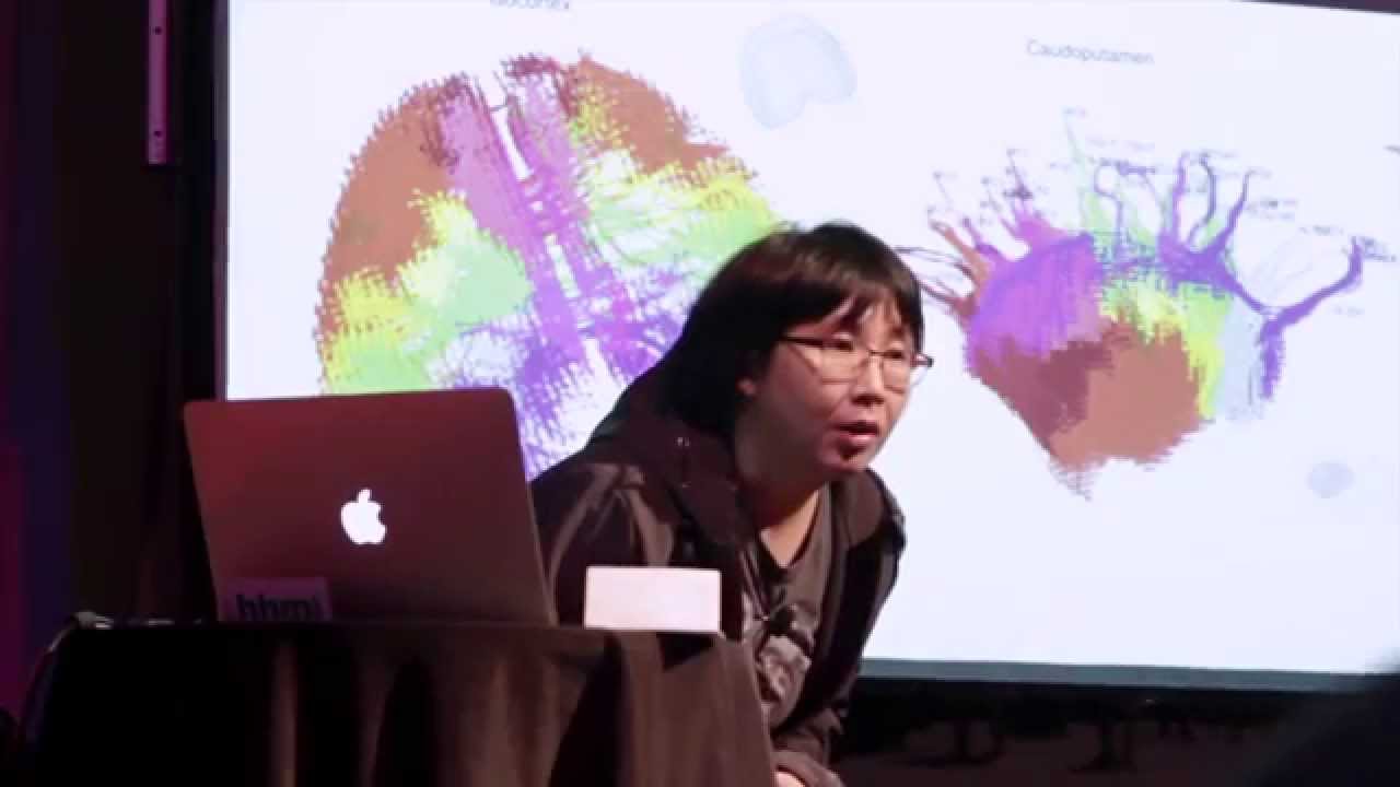 Lydia Ng - Construction of a mesoscale mouse brain connectome - YouTube