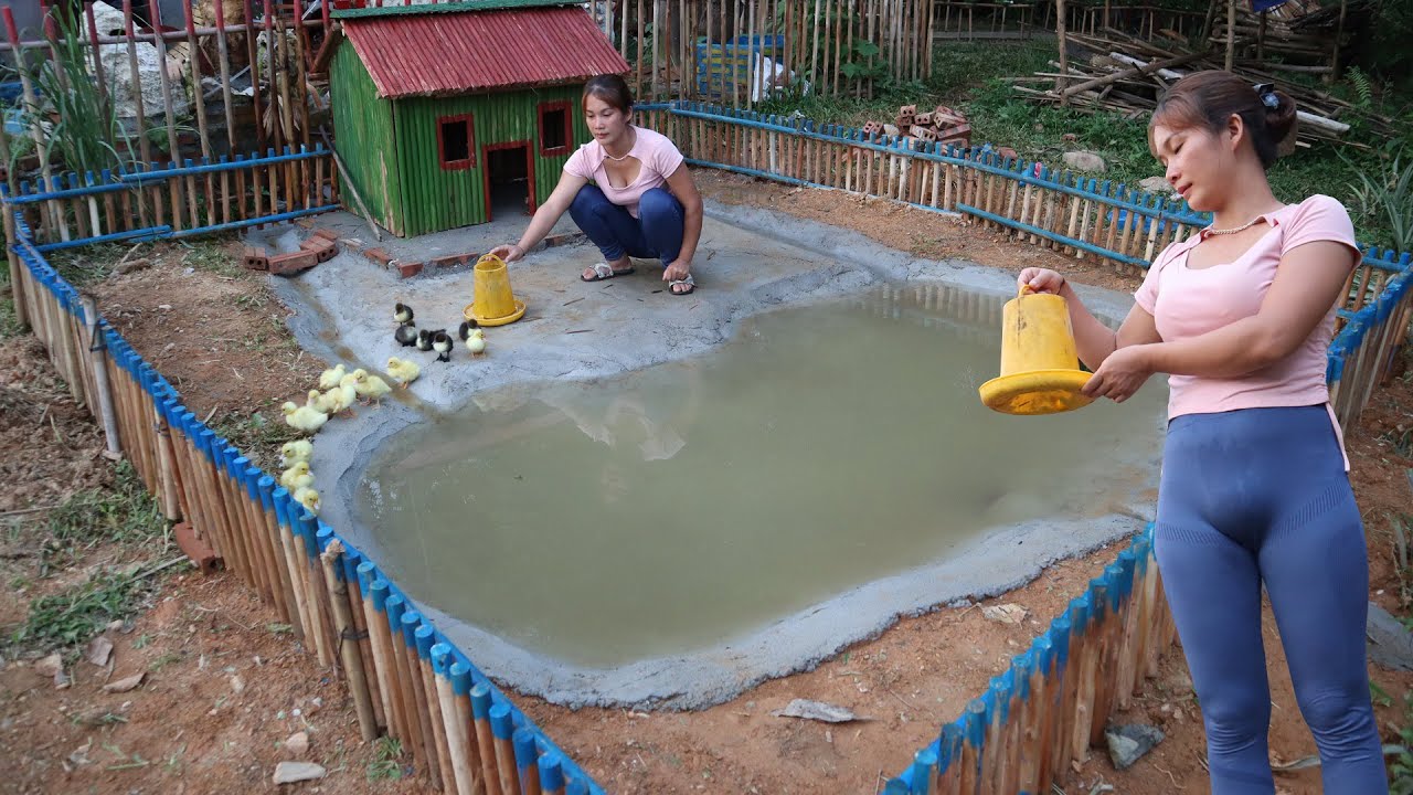 Build A Miniature Duck Farm, Clean Up The Farm. FARM LIFE | Junni - YouTube
