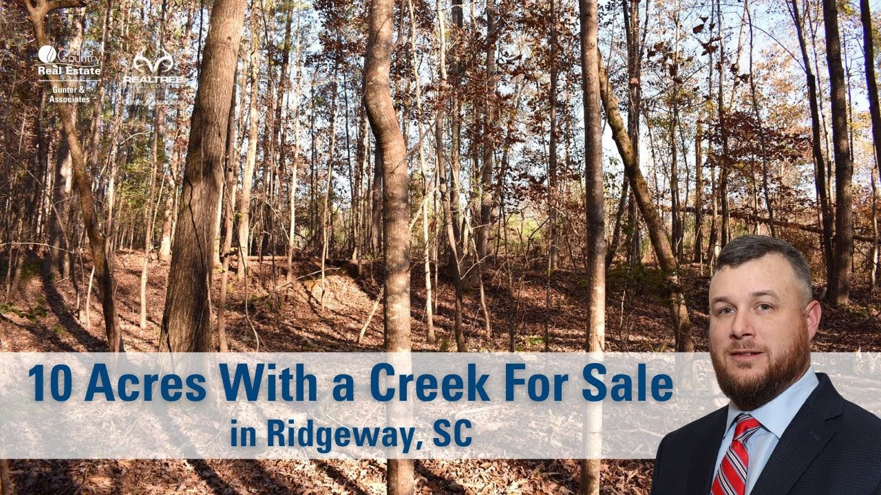 Acreage With a Creek For Sale in Ridgeway, SC - YouTube