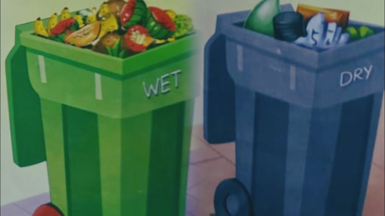 Wet or dry song | Garbage song for kids | how to use dustbin 🗑️ kids ...