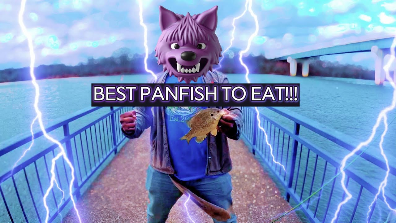 CATCH these PANFISH for a GREAT MEAL! - YouTube
