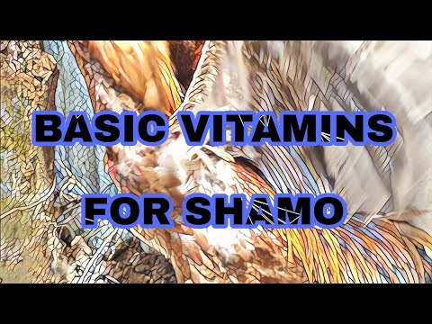 SHAMO BEST VITAMINS - YouTube
