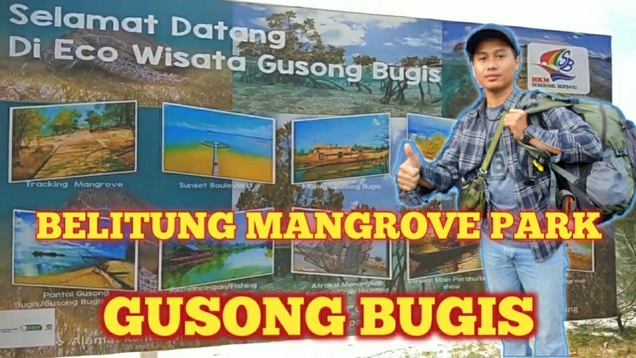 Gusong Bugis Mangrove Park Belitung | Taman Wisata Hutan Bakau - YouTube