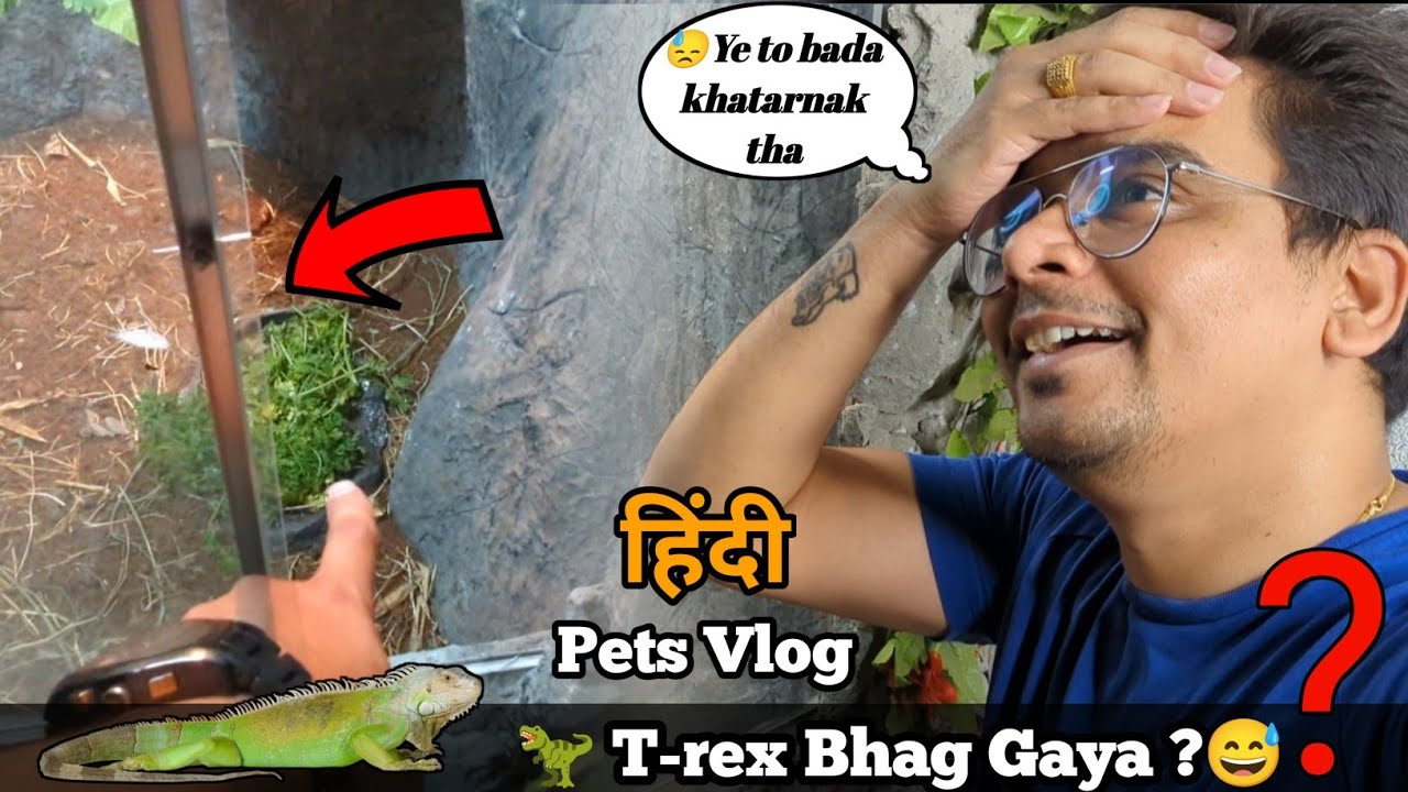 T-rex ka cage reh gaya tha khula t-rex bhag gaya...? 😅 | Pets vlog hindi #petsshala #petsvlog ...