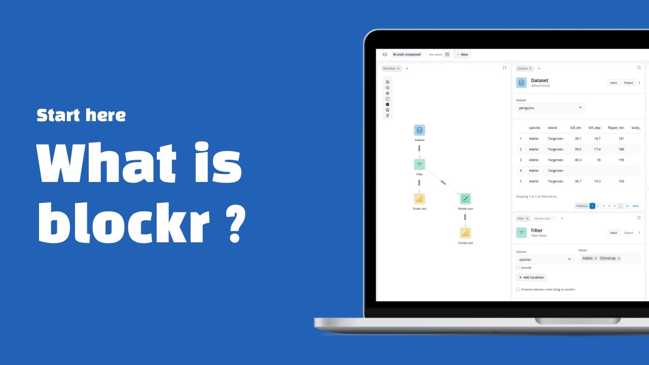 what is blockr? - YouTube