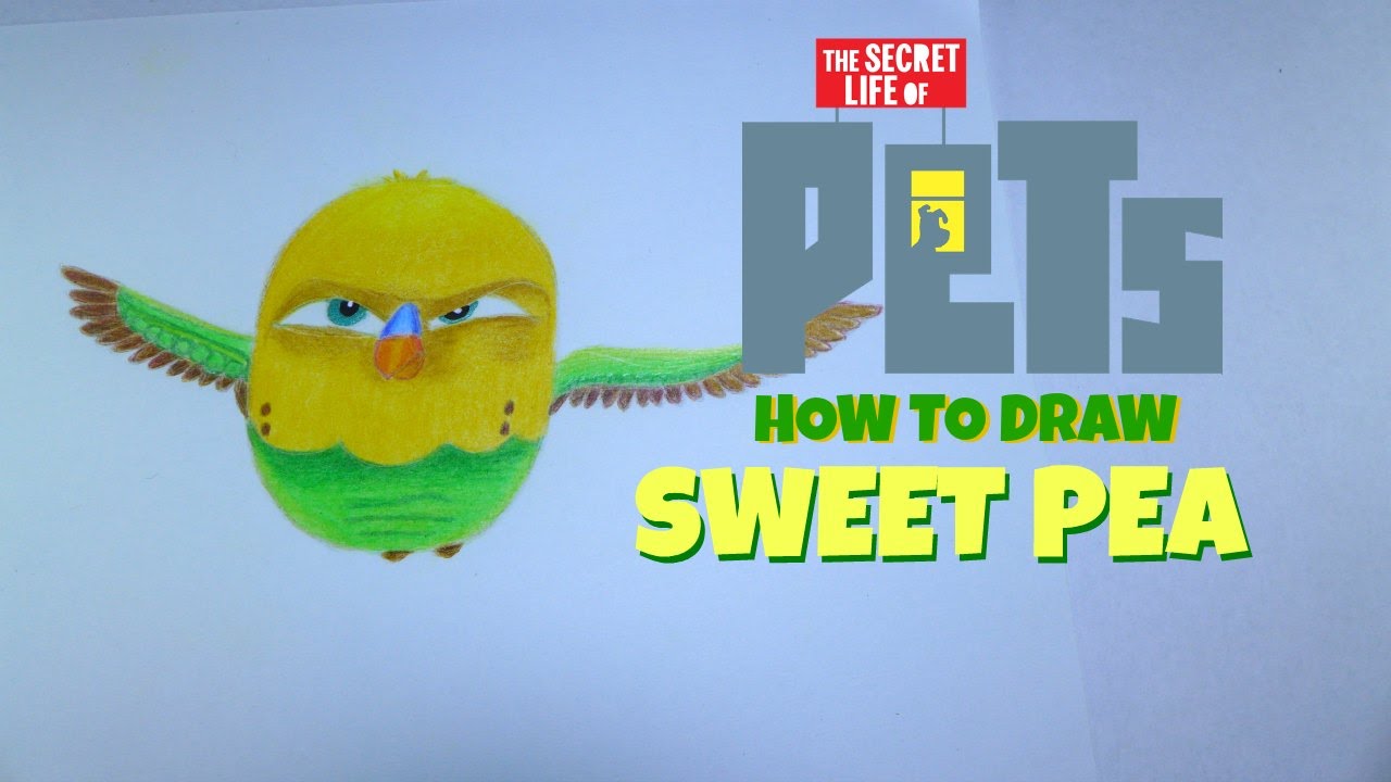 How to Draw Sweet Pea from The Secret Life of Pets Movie 2016 - YouTube