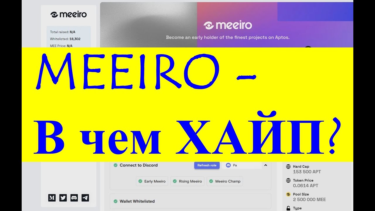 Что такое MEEIRO? В чем ХАЙП? - YouTube