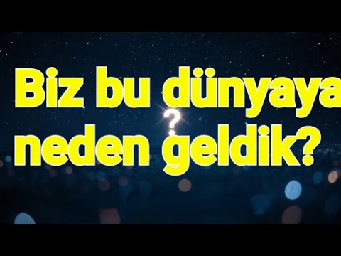 ŞİİR_SORGULAMA_(Söz: TÜLİN ÇİFTÇİ)