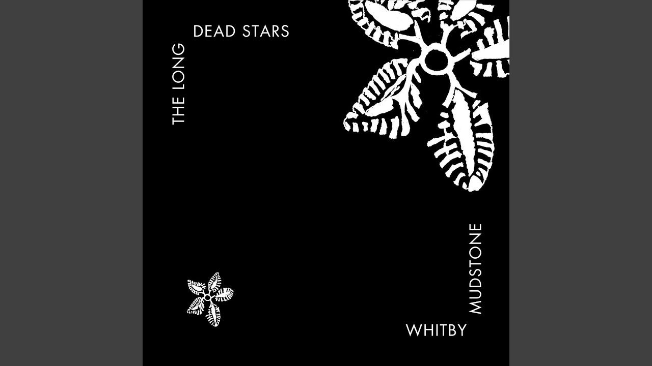 The Crinoids of Boggle Hole - YouTube