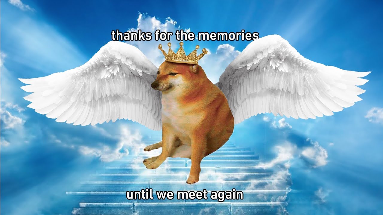 Ricardo Milos react to Cheems Balltze death 💔 - YouTube