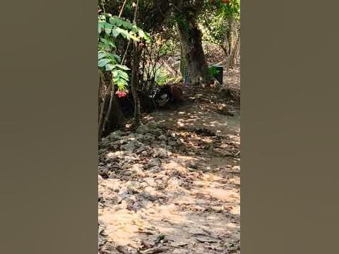 12 April 2025 - YouTube