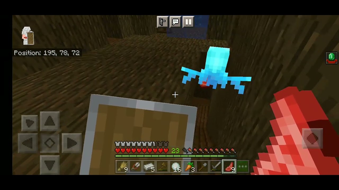 Minecraft Survival Gameplay Taming Allay In The Village🎮🎮 - YouTube