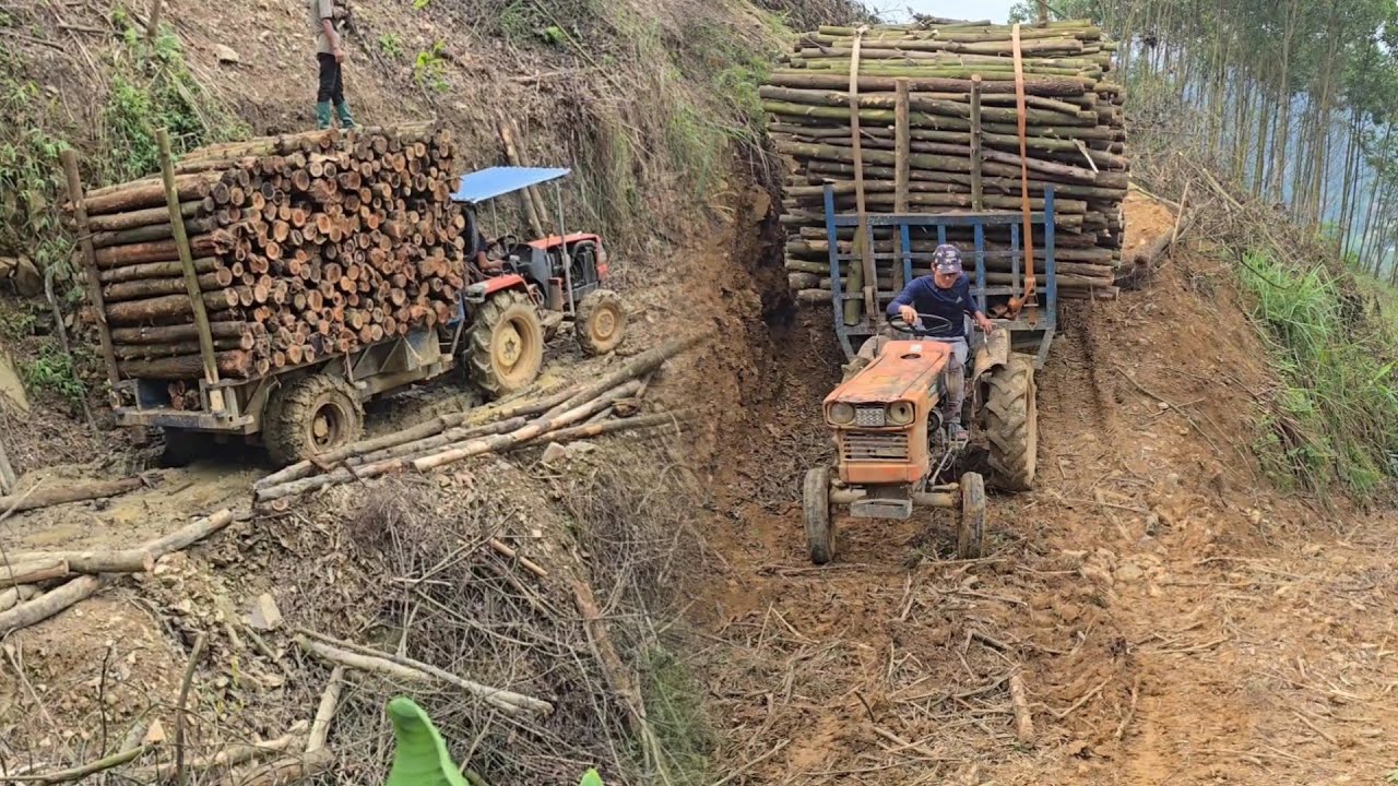 Tractor transporting wood on high hills - transporting wood in the ...