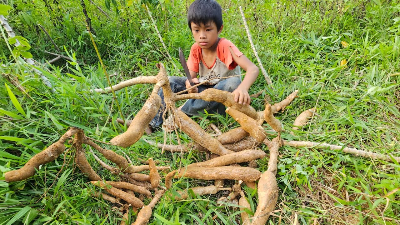 Orphan boy's life - wandering for a living, digging cassava tubers to ...