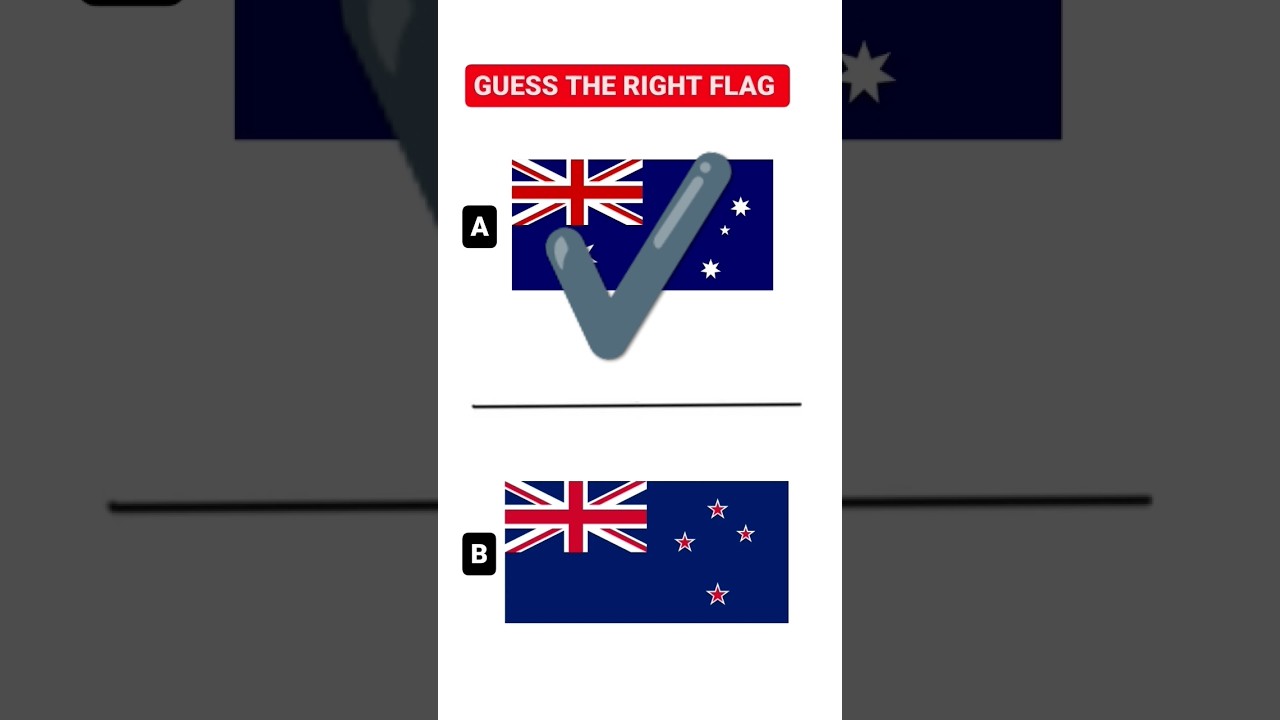 guess the right flag || guess puzzle & riddles #shorts#video - YouTube