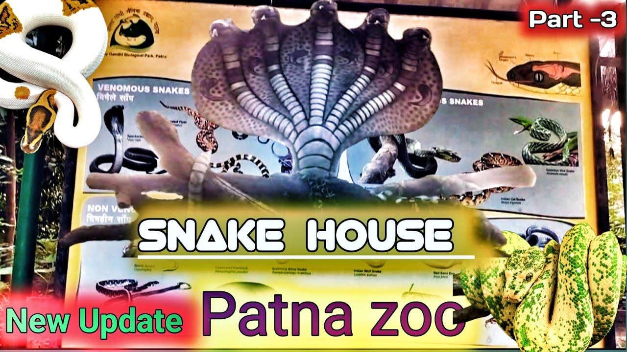 Patna Zoo !! Snake house !! Sanjay gandhi biological park , patna 🪱 ...