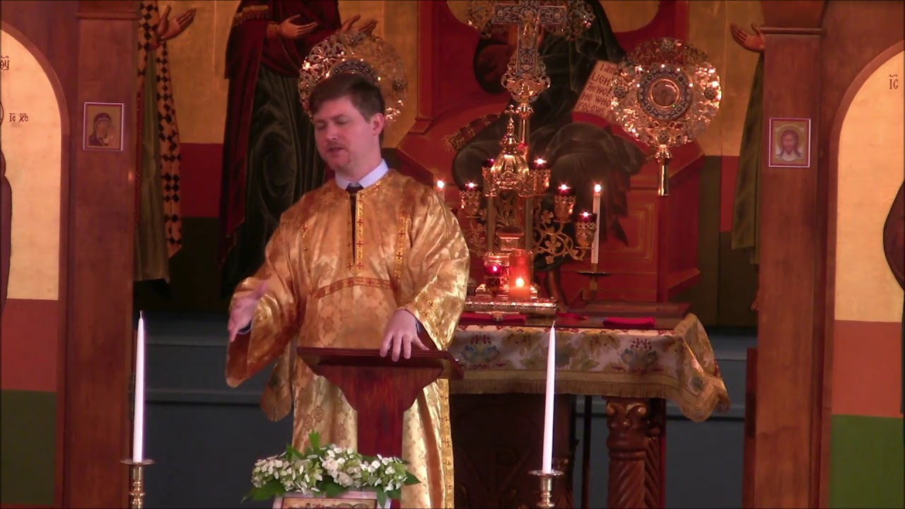 Homily by Seraphim Danckaert of FOCUS North America - YouTube