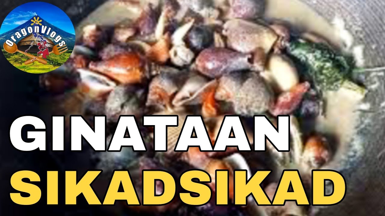 SEA SHELL WITH COCONUT MILK | GINATAANG SIKADSIKAD BICOL OragonVlogs ...