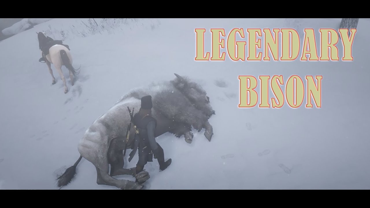 LEGENDARY BISON | RED DEAD REDEMPTION 2 - YouTube