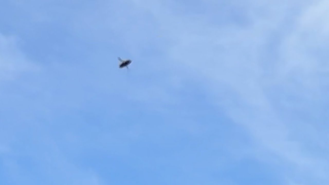 Dragon UAP/UFO Getting Close to the Camera 🛸 - YouTube