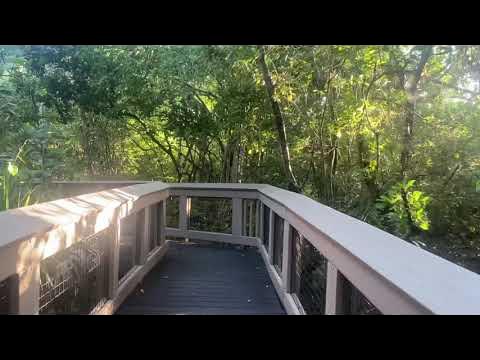 Gumbo Limbo Environmental Complex - YouTube