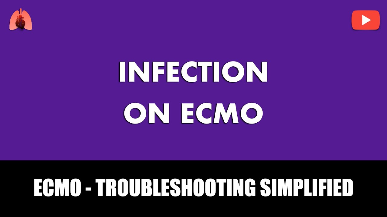 ECMO Troubleshooting - Infection on ECMO - YouTube